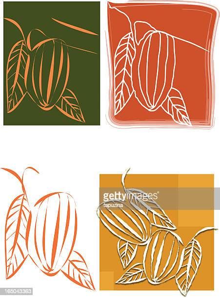 15 Coco Bean Icon High Res Illustrations Getty Images