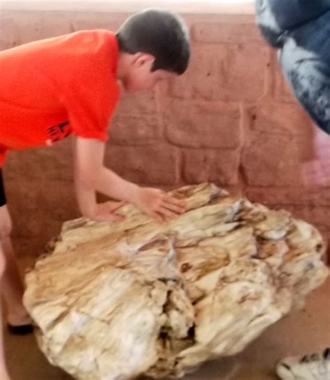 Fossil Hunters Out On The Trail