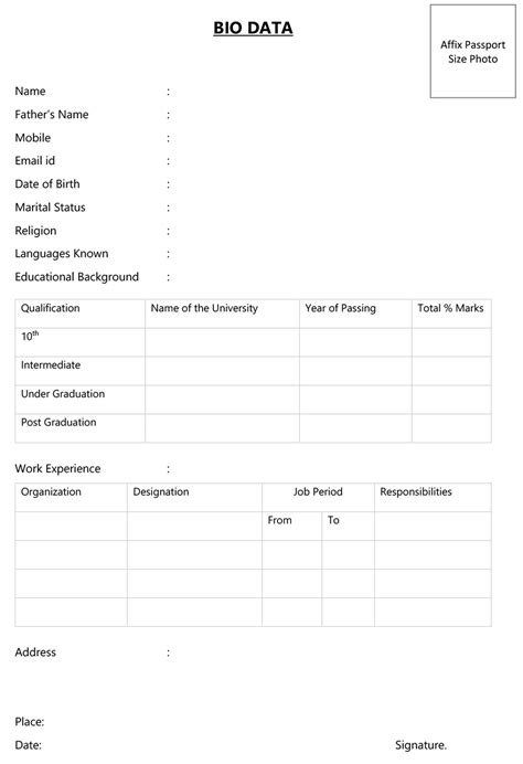 45 Simple Job Bio Data Formats PDF Word Free Download