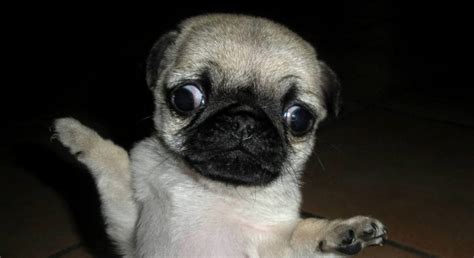 Make A Grid Based Game With Unity Dev Log Day 1 By Taylor Coon Dev