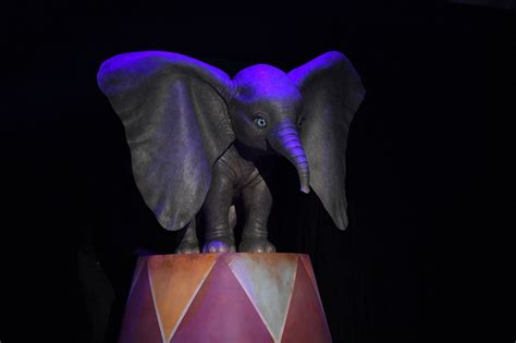 Heres Your First Look At Dumbo In Tim Burtons Live Action Adaptation