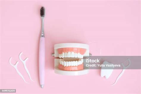 양치질 할 시간입니다 턱의 모델과 분홍색 배경에 치과 치료를 위한 다양한 도구 0명에 대한 스톡 사진 및 기타 이미지 0명 개념 개체 그룹 Istock