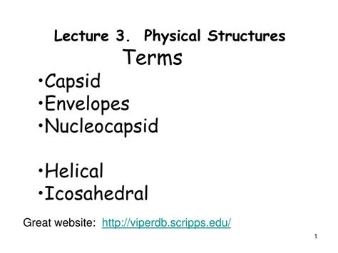 Ppt Lecture 3 Physical Structures Powerpoint Presentation Free Download Id526248