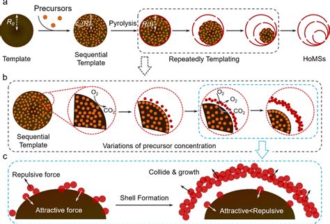 Schematic Illustrations Of The Physical Models Used In The Download Scientific Diagram