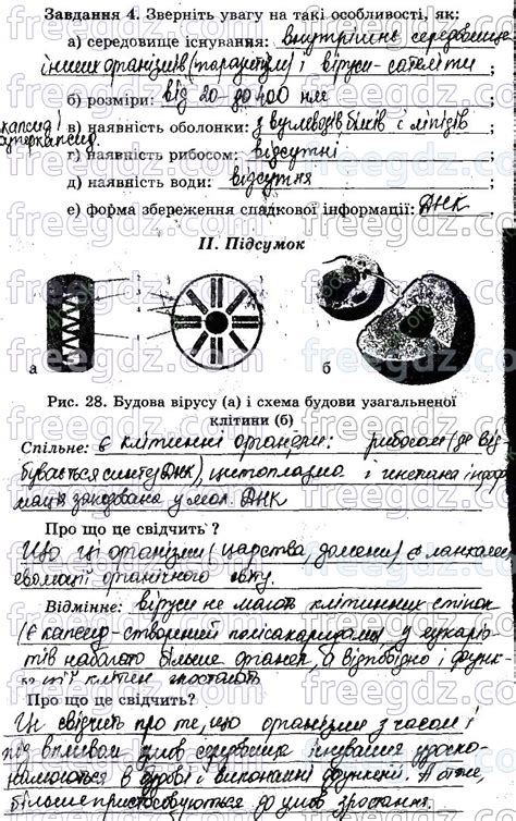 ГДЗ відповіді та розвязання до вправи №4 Практична робота № 4 Порівняння будови та процесу