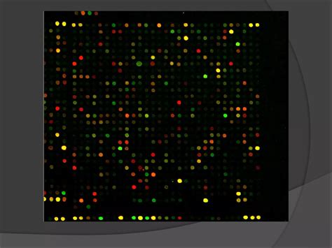 Microarrays Databases Pptx Databases Computer Software And Applications