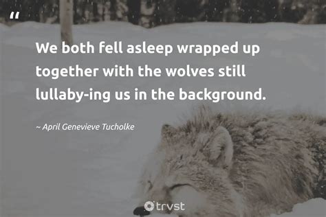 Sleeping Wolf Quotes Gary Paulsen Quote “i Read Like A Wolf Eats I