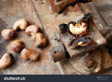 Cashew Nut Shell