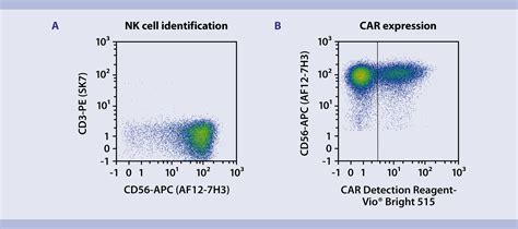 Car Nk Cell Research Workflow Phenotypic Characterization Miltenyi