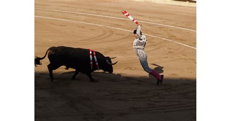 Закон за забрана на борбата с бикове подписа президентът на Колумбия