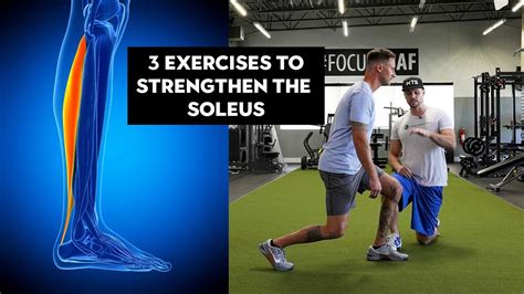 3 Exercises To Strengthen Your Soleus Calf Muscle Youtube