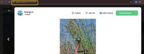 How To Cite Pictures In PowerPoint Ultimate Methods Examples