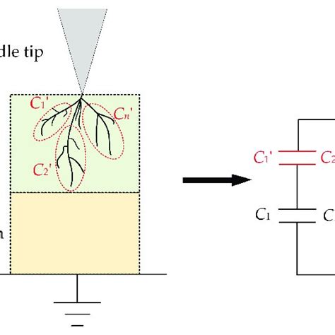 The Model Of Distributed Parameters During The Growth Of Electrical Trees Download Scientific