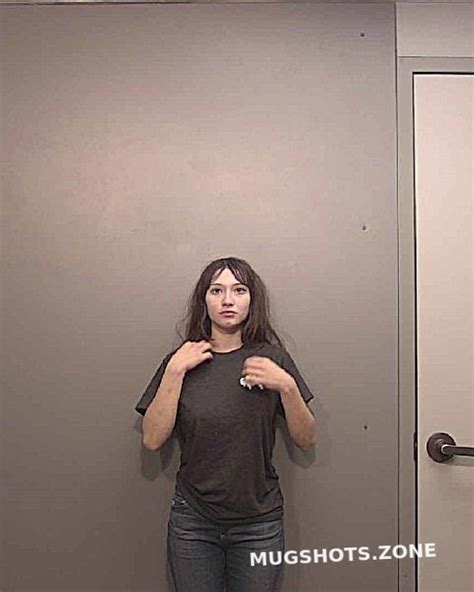 Mcclimans Robyn Laci 04 11 2025 Harris County Mugshots Zone