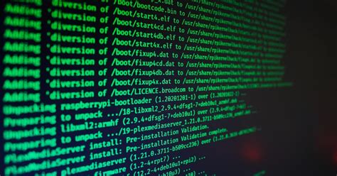Wordpress Issue Search Replace Function Of Wp Cli
