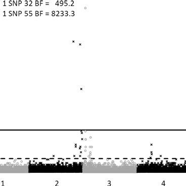 Manhattan Plot Of SNP For The Simulated Quantitative Trait SNP Above Download Scientific