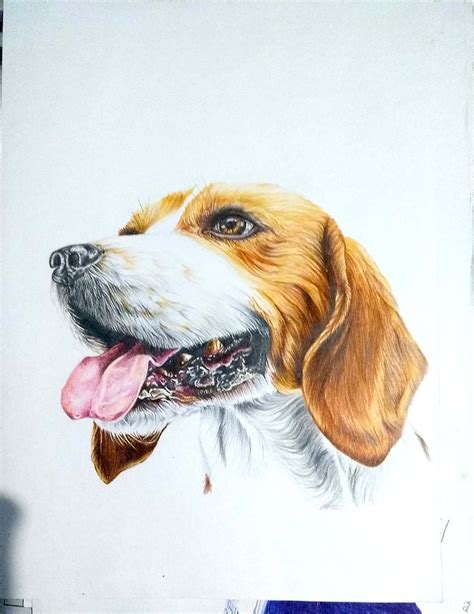 Artwork By Aditya Mukherjee