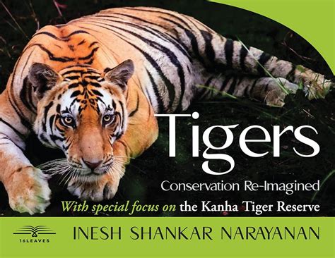 Tigers Conservation Re Imagined With Special Focus On The Kanha Tiger