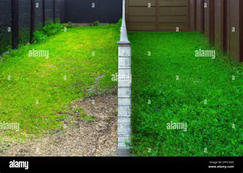 The Grass Is Always Greener In The Neighbors Yard It Is Always Greener On The Other Side Folk