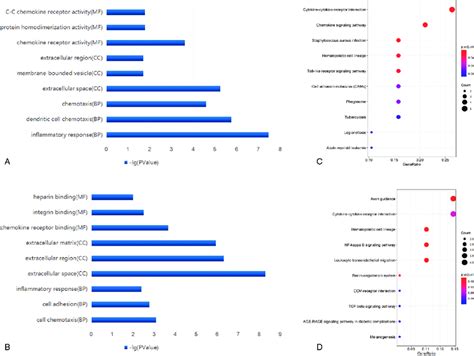 Functional Analyses Of Sex Specific Differentially Expressed Genes
