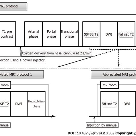 Schematic Diagrams Of The Standard Magnetic Resonance Imaging Protocol Download Scientific
