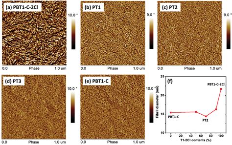 An Optimized Fibril Network Morphology Enables High‐efficiency And