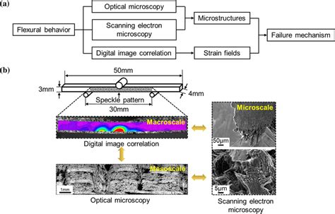 Methodology Of The Dic Analysis For Crack Propagation During The
