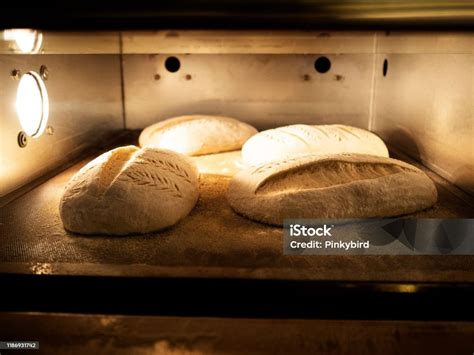 신선한 원시 반죽 빵 배경 베이커리 공장에서 신선한 빵 효모 반죽 사워 도우 빵 반죽 빵 발효 빵 생산컨베이어 벨트 오븐에서 빵 굽기 0명에 대한 스톡 사진 및 기타 이미지