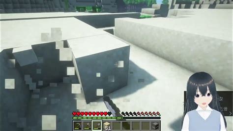 여러가지 게임을 했다 Youtube