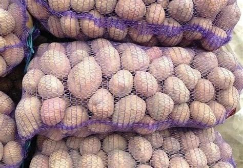 Продам домашний крупный и семенной картофель Сорт Манифест сетка 20 кг 10 рублей Бесплатная
