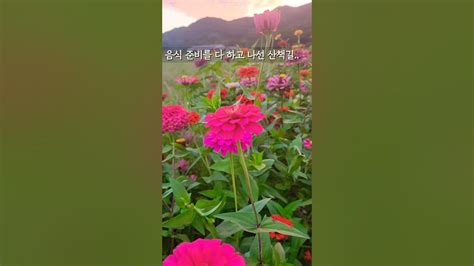 추석시골풍경가을행복한명절되세요 Youtube