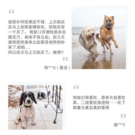 卫仕官方旗舰店钙片健骨补钙宠物微量元素防异食癖幼犬大型犬卫士 虎窝淘