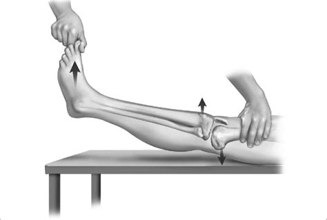 —an Illustration Demonstrating The Sagittal Plane Relationship Of The Download Scientific