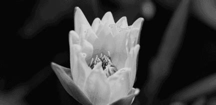 Deep Research Workflow In Dify A Step By Step Guide Dify Blog