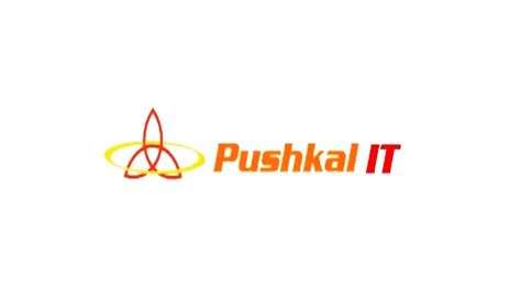 Pushkal It Solution Indore