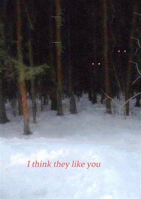 Maybe Theyre Friendly R Weirdcore