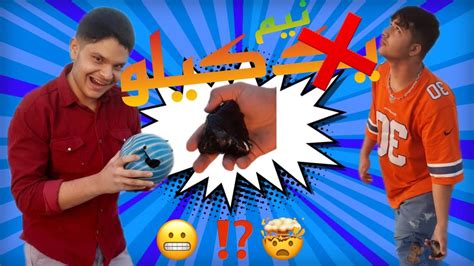 تست انواع ترقه ها از سیگارت تا بزرگترین اکلیل Youtube