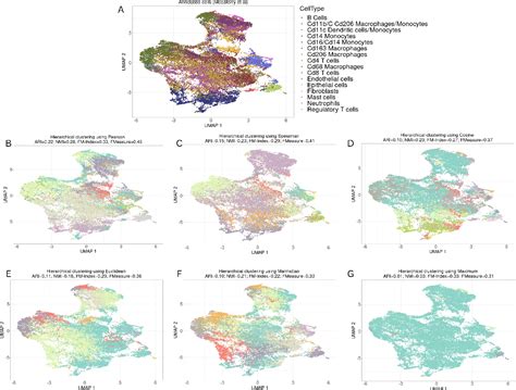 Figure 2 From Ensemble Of Similarity Metrics With A Multiview 1 Self Organizing Map Improves