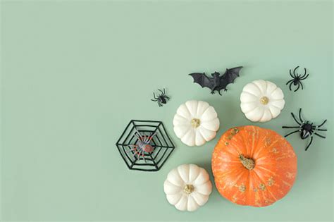 검은 박쥐 거미 오렌지 호박이있는 할로윈 배경 현대 휴일 디자인 올리브 그린 색상의 할로윈 파티 테두리 플랫 레이 상단보기 복사 공간 추수 감사절 가을 장식 2022 플랫
