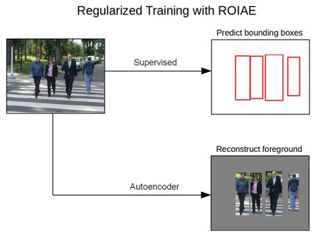 The Region Of Interest Autoencoder Combines Supervised And