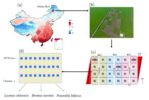 The Experiment S Location And A Sketch Of The Sampling Mode The Download Scientific Diagram