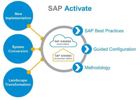 Service Kabo Solutions SAP Gold Partner