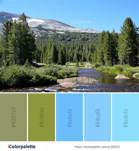 Color Palette Ideas From Tree Images IColorpalette Color Palette Palette Hex Color Codes
