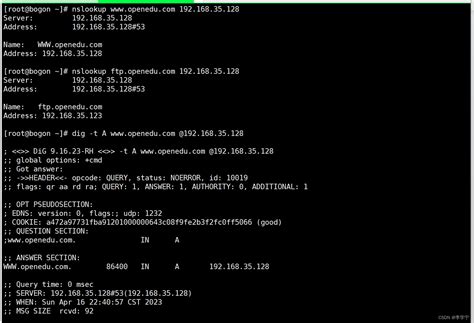 Rhce第四次作业 Csdn博客