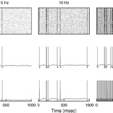 Spike Detection In A System Consisting Of A Single IF Neuron With Download Scientific Diagram