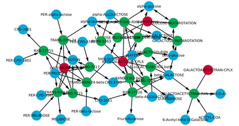 Metabolic Networks — Atlas Documentation