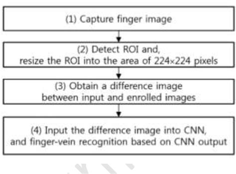 Figure 1 From Finger Vein Biometric Identification Using Convolution