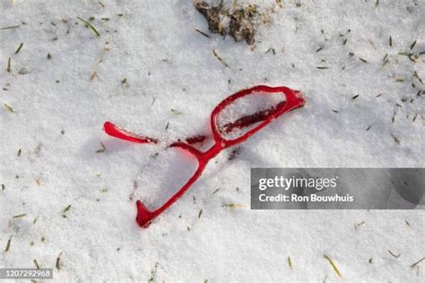 Missing Glasses Photos And Premium High Res Pictures Getty Images