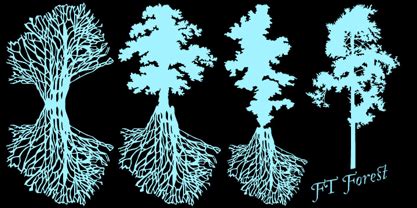 FT Forest Font Webfont Desktop MyFonts