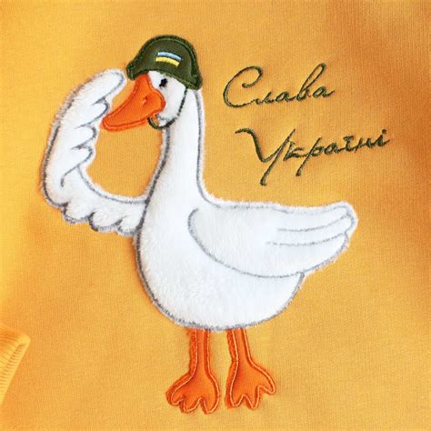 Теплий дитячий світшот з аплікацією Бойовий гусак від українського виробника дитячого одягу